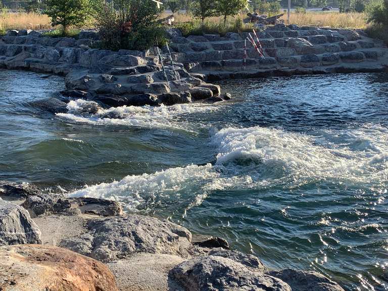 Lot 81 to Inglewood Bird Sanctuary loop via Bow River Pathway ...