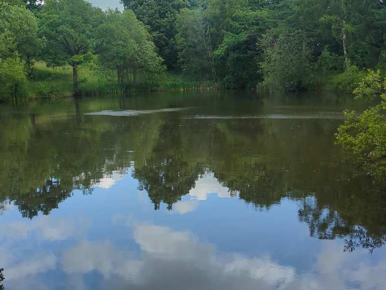RSPB Consall Woods Naturschutzgebiet: Wanderungen und Rundwege | komoot