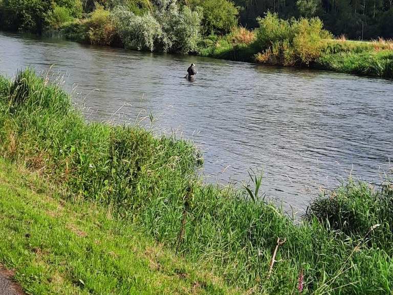 Kilsheelan Routes for Walking and Hiking | Komoot