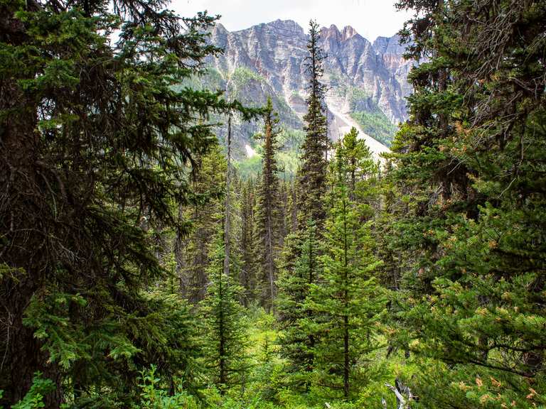 Mount Bell — Banff National Park | Wanderung | Komoot