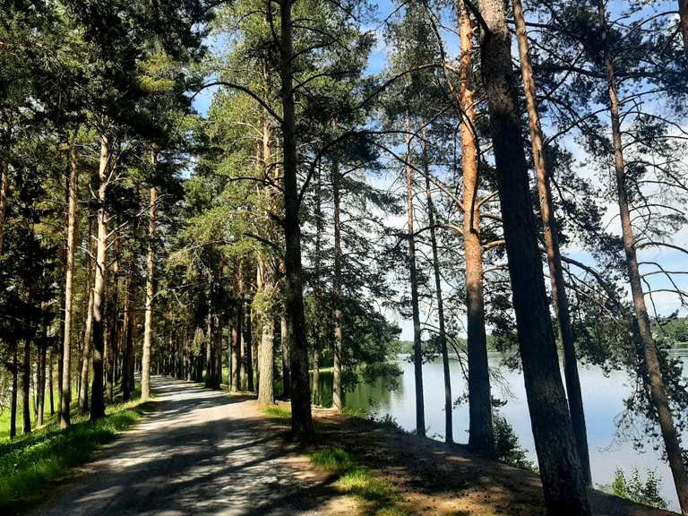 Discovering Finland's lakeland – Lake Saimaa loop from Lappeenranta ...