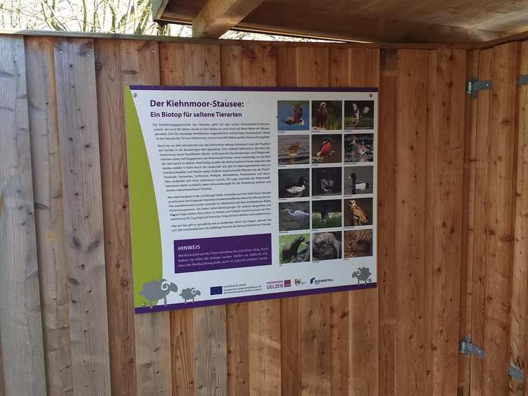 Réservoir de Kiehnmoor - Itinéraires vélo et carte | Komoot