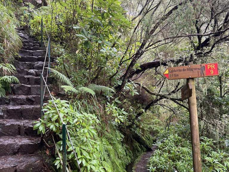 Südlicher Eingang des Levada-Pico-Ruivo-Tunnels: Wanderungen und ...