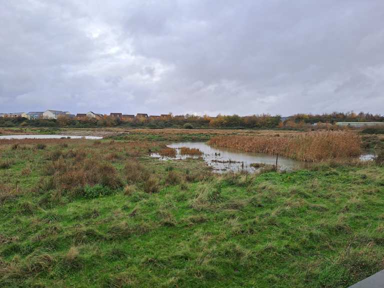 South Pools Vogelbeobachtungshütte: Wanderungen und Rundwege | komoot