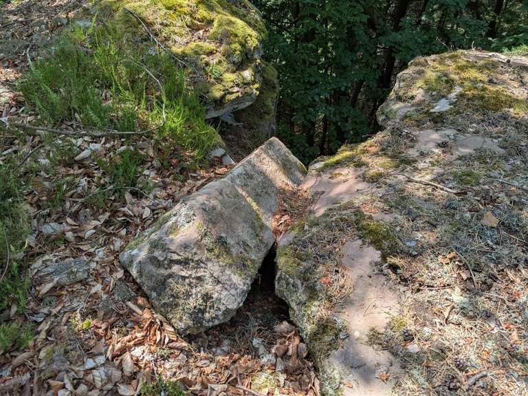 Benchmark stone on the Stammberg Routes for Walking and Hiking | Komoot