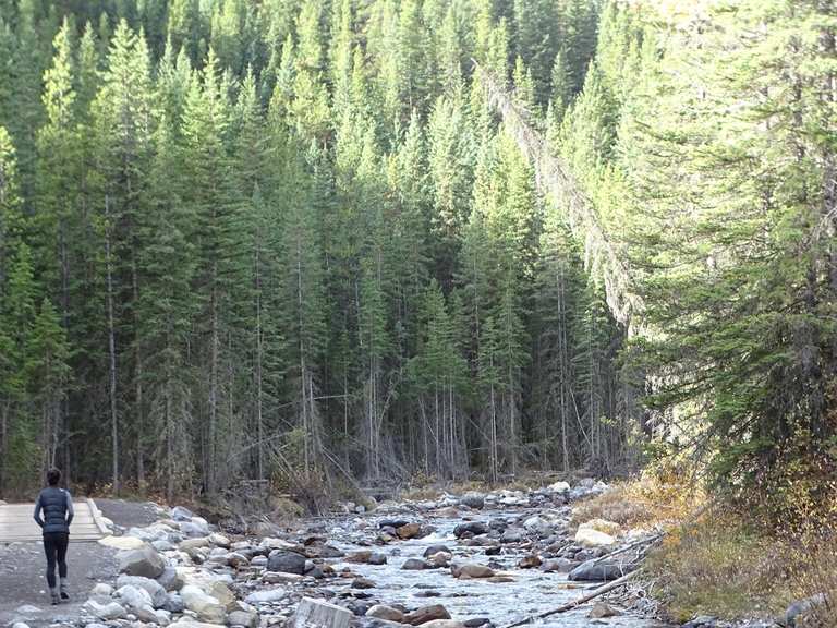 Wind Mountain — Bow Valley Wildland Provincial Park | Wanderung | Komoot