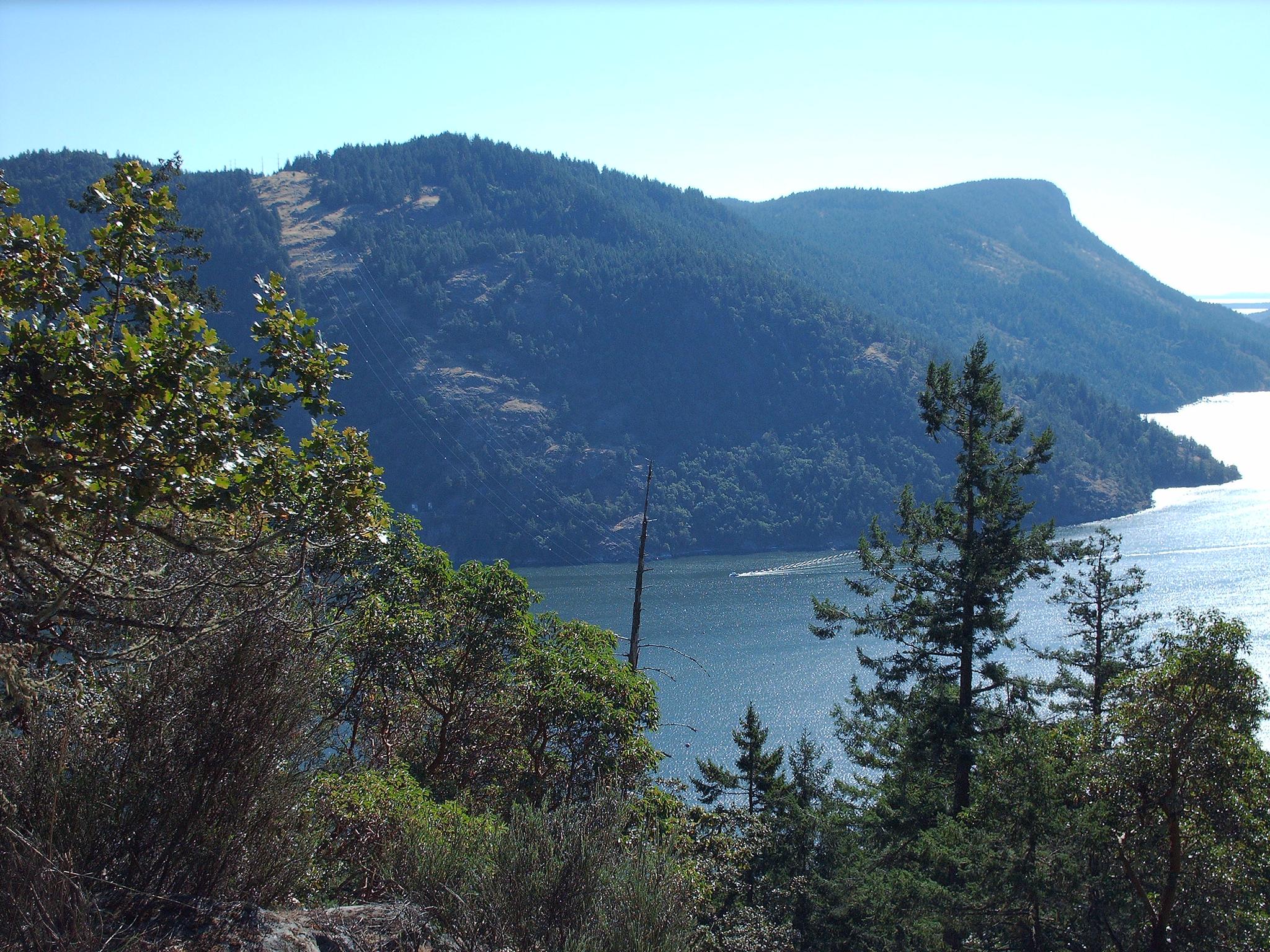 Attractions and Places To See in North Cowichan Municipal Forest ...