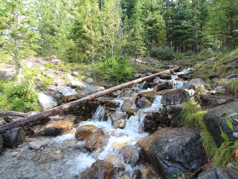 Barrier Lake Day Use Area — Bow Valley Provincial Park | Wanderung | Komoot