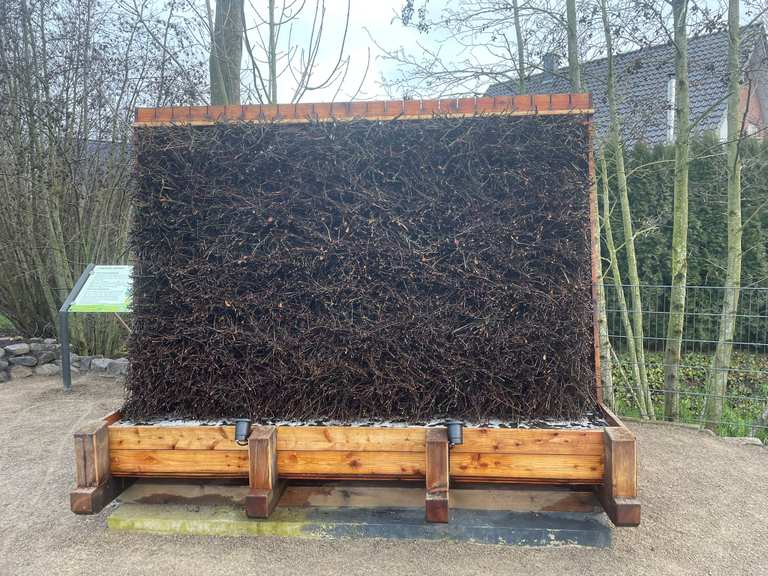 Pfad der Sinne: Station Kreisel Routes for Walking and Hiking | Komoot