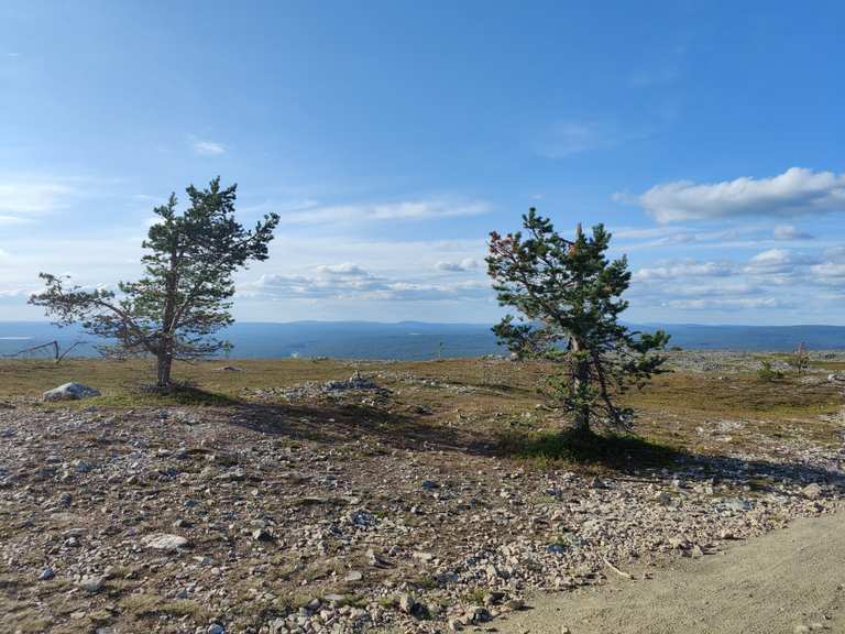 Kukastunturin polkaisu – Pallas-Yllästunturi National Park ...