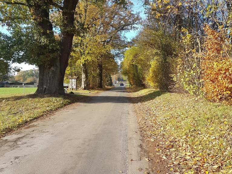 Rest Area with View of Püsselbüren and Insect Hotel Road Cycle Routes ...