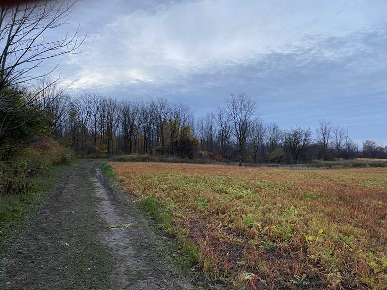 Mystery Falls via Ausable River Trail loop — Arkona | Wanderung | Komoot