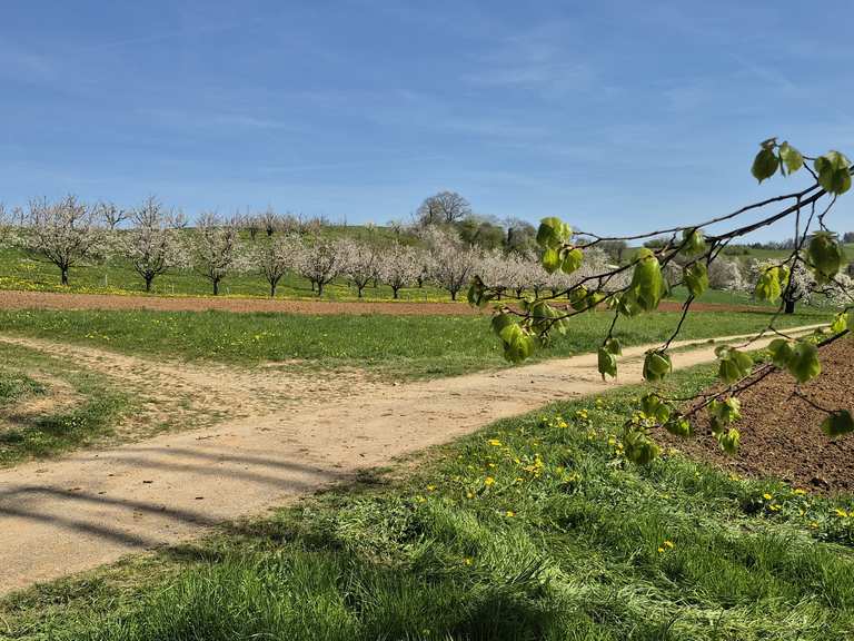 Geologischer Schaukasten Aargau – Wander- & Radrouten | Komoot