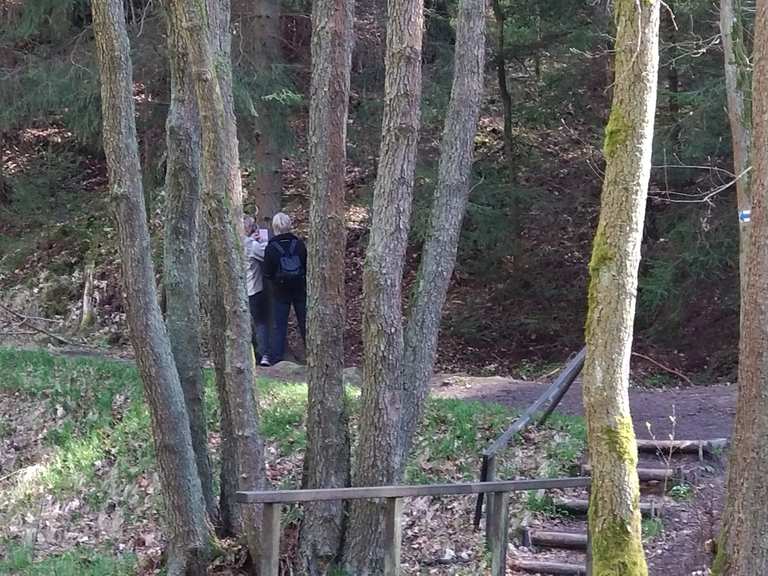 Mattenberg-Felsformation: Wanderungen und Rundwege | komoot