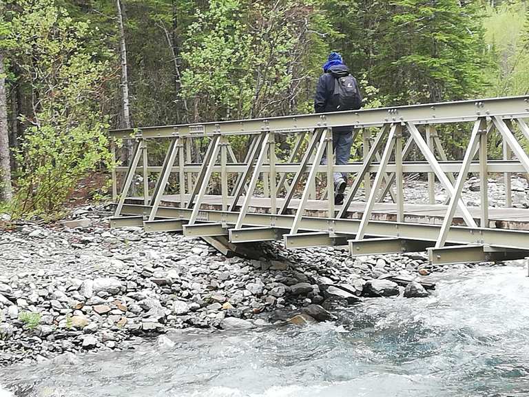 Wind Mountain — Bow Valley Wildland Provincial Park | Wanderung | Komoot