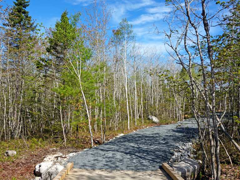 Lakeview Trail & Witherod Lake Trail loop — Long Lake Provincial Park ...
