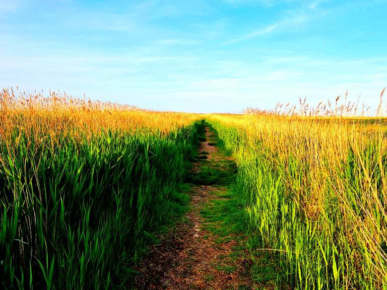 Bird Hide Over the Marshes Routes for Walking and Hiking | Komoot