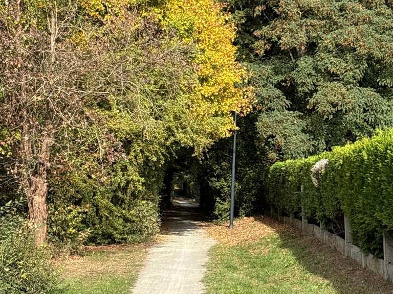 Antiguo trazado del tranvía: Rutas de senderismo y caminatas | Komoot