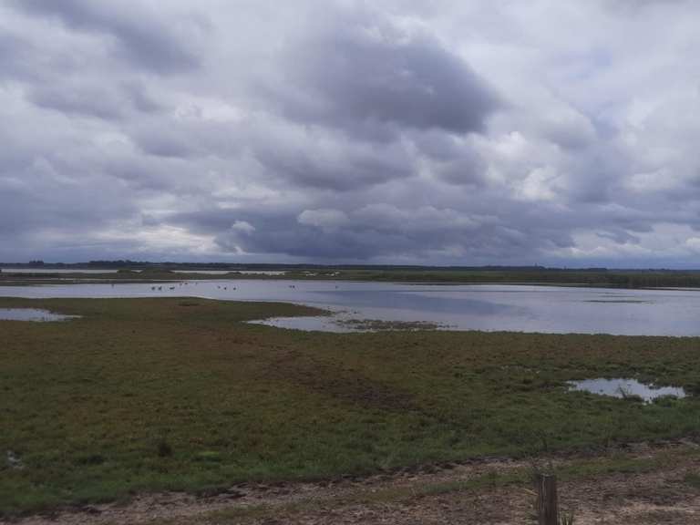 Naturschutzgebiet Insel Koos, Kooser See und Wampener Riff : Radtouren ...