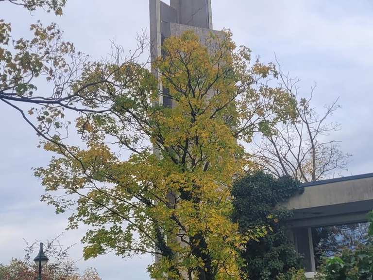 Dietrich-Bonhoeffer Church – Hiking & Cycling Routes | Komoot
