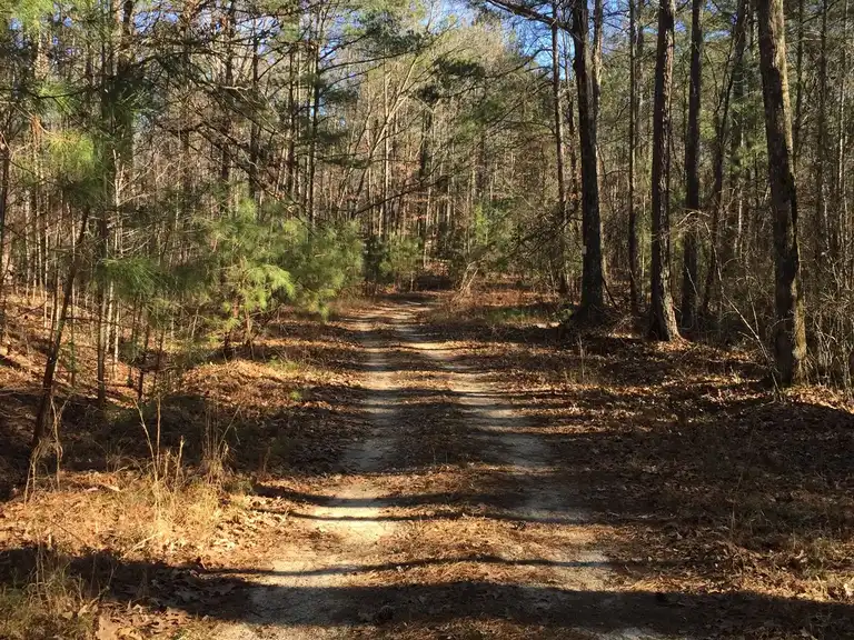 Cochran Mill Park via Rico Tatum Road & Vernon Grove Road loop ...