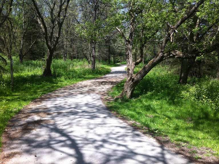 Humber River Trail —Boyd Conservation Area | wandeling | Komoot