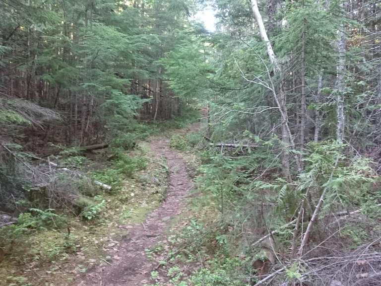 Pyramid Mountain & Dawson Falls — Wells Gray Provincial Park | hike | Komoot