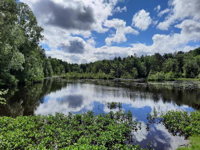 Loop to Gothenburg Botanical Garden - Änggårdsbergen Nature Reserve ...