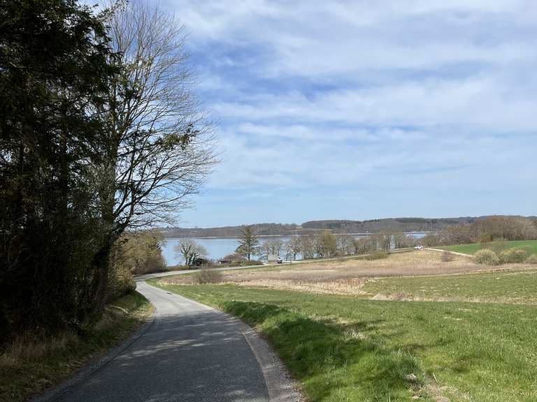 Ejer Bjerge – Yding Skovhøj Runde von Ry | Rennrad-Tour | Komoot