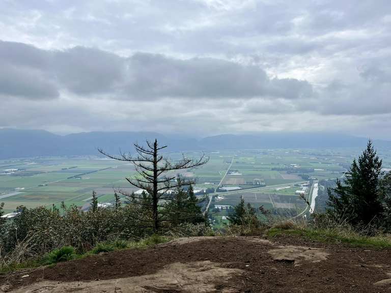 Abby Grind Trail — Sumas Mountain Regional Park | escursione | komoot