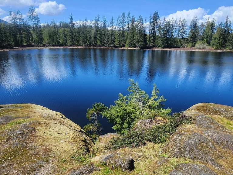 Timberland Lake Loop via Haslam Trail — Ladysmith, BC | randonnée ...