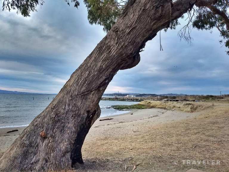 Lone Tree Point Park Road Cycle Routes and Map | Komoot