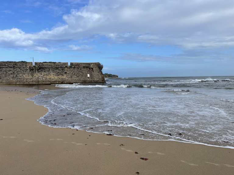 Dunes of Peniche/Santa Cruz – Praia do Baleal Sul loop from Ferrel ...