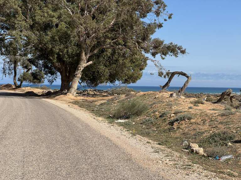 Zarat Beach Zarat (ouest): Rennradfahren und Rennradtouren | komoot