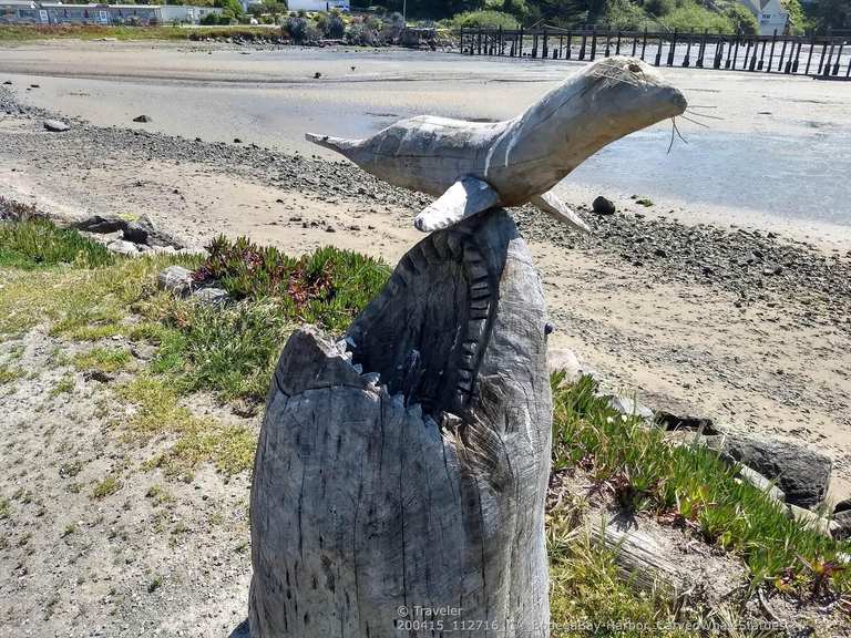 Porto Bodega Marina-route met houten sculpturen: MTB-routes en trails ...