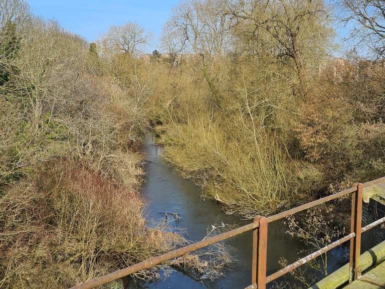 View of the River Colne from the Ebury Way Cycle Routes and Map | Komoot