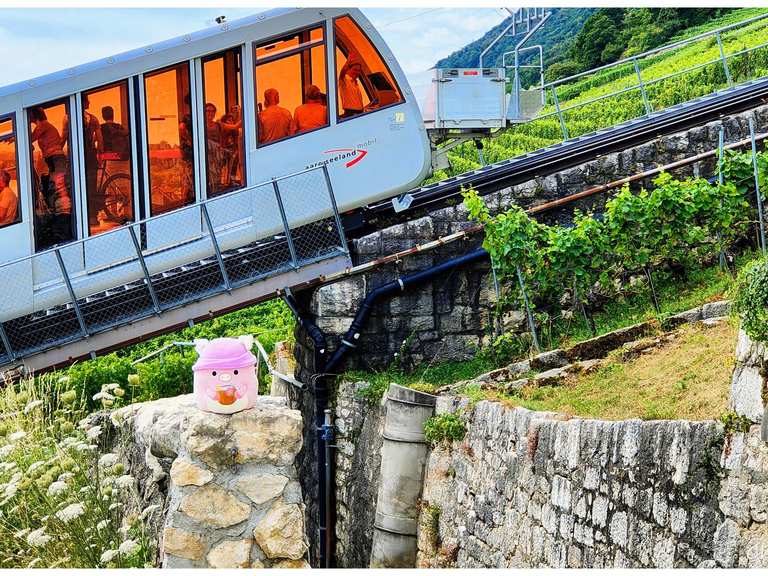 Ligerz–Prêles Vinifuni Funicular Routes for Walking and Hiking | Komoot