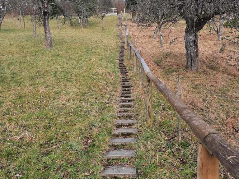 Mountain slide circular hiking trail with many steps Routes for Walking ...
