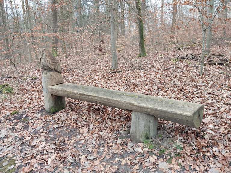 Panchina di legno con intaglio a forma di gufo : percorsi ...
