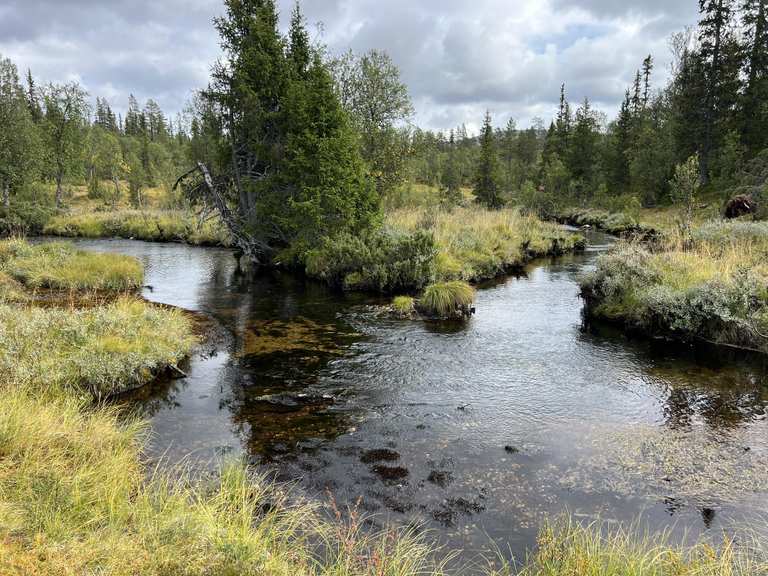 Winding Stream Routes for Walking and Hiking | Komoot
