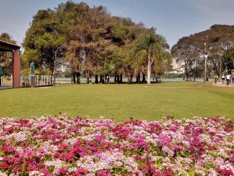 Vuelta por el Parque Barigui en Curitiba | wandeling | Komoot