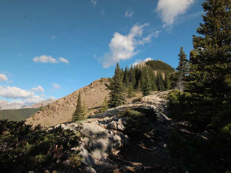 Nihahi Ridge traverse — Peter Lougheed Provincial Park | wandeling | Komoot