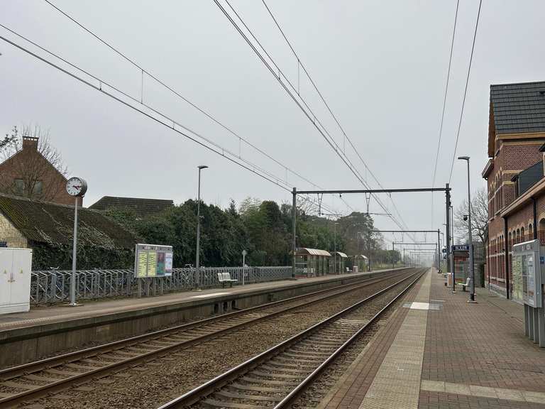 Station Nijlen: Wanderungen und Rundwege | komoot