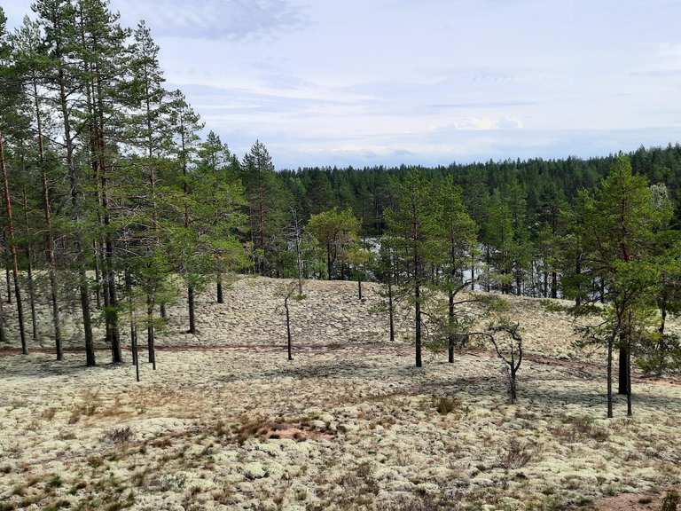 Rokua National Park - Itinéraires vélo et carte | Komoot