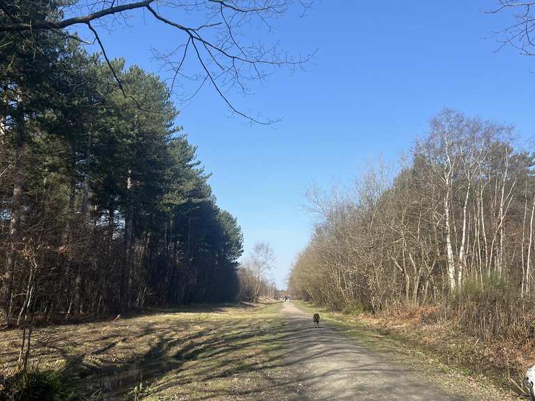 Gypsy Corner Routes for Walking and Hiking | Komoot