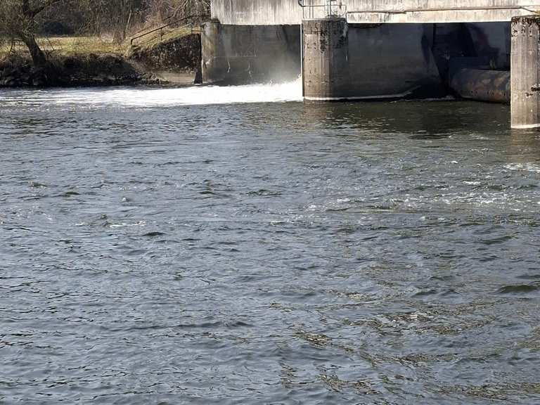 Idyllischer Zwischenstopp an der Naab! - Cycle Routes and Map | Komoot