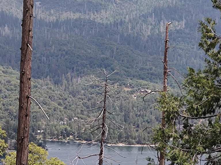 Ziegenberg-Pfad: Radtouren und Radwege | komoot