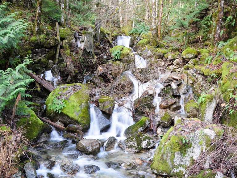 Copperbush Trail: Wanderungen und Rundwege | komoot