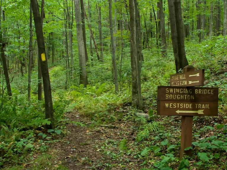 Gerard Hiking Trail – The footsteps of Pennsylvania’s oil boom | Wander ...