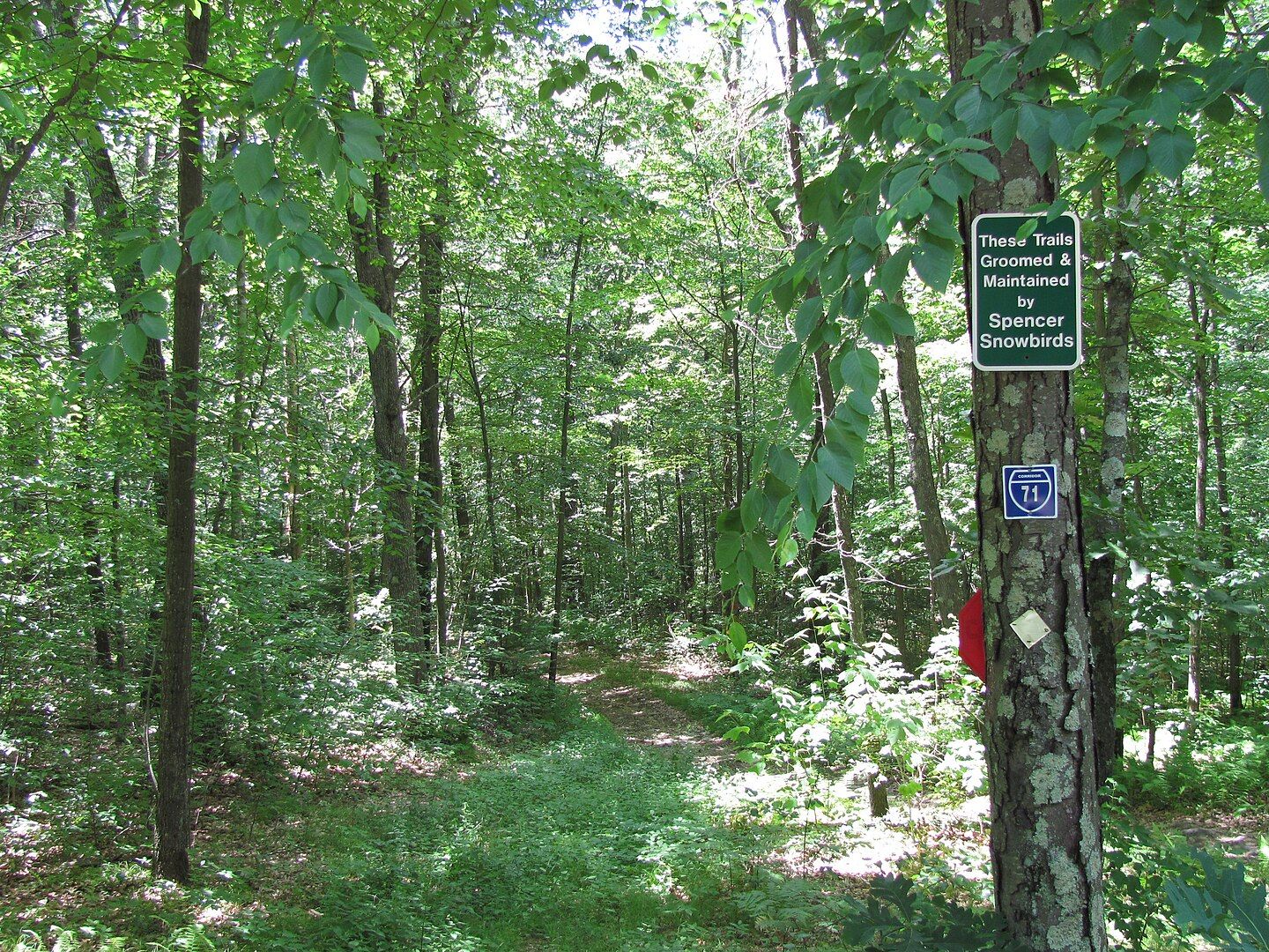 Midstate Trail — 92 miles through the heart of Massachusetts | Hiking ...